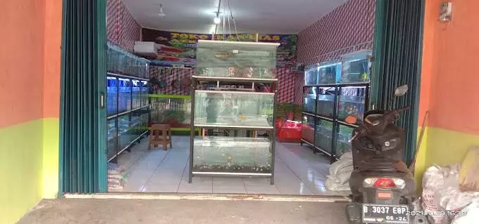 Toko Ikan Hias " Azka Aquarium